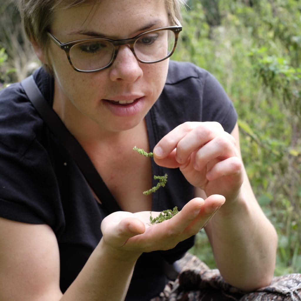 SAP rising – Creative Journeys in Nature